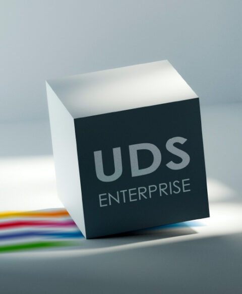 With UDS ENTERPRISE each sector can customize its VDI | UDS Enterprise